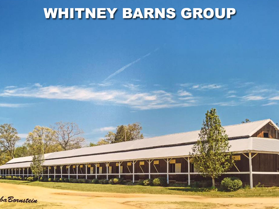 Whitney Barns Group